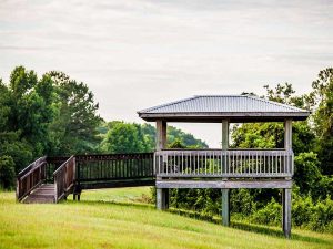 Virtual Tour | The Refuge